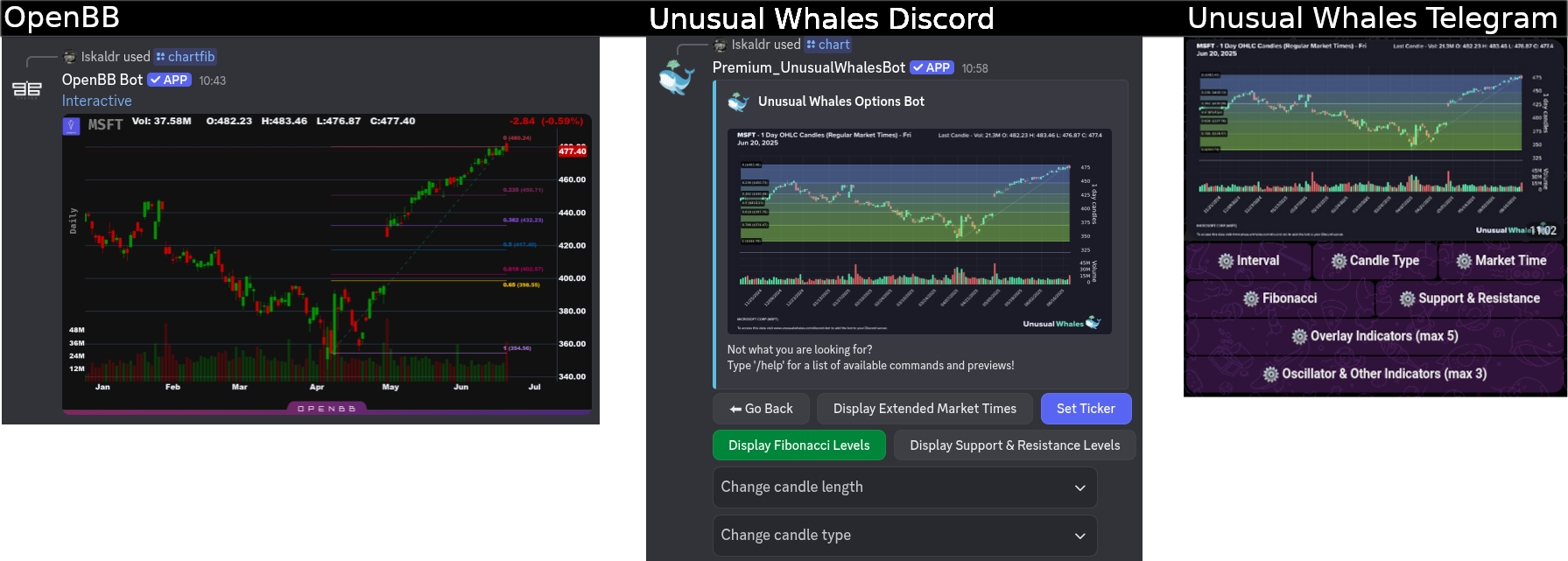 Explore the Discord Bot